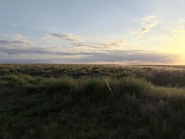 N US Highway 385, Levelland, TX 79336