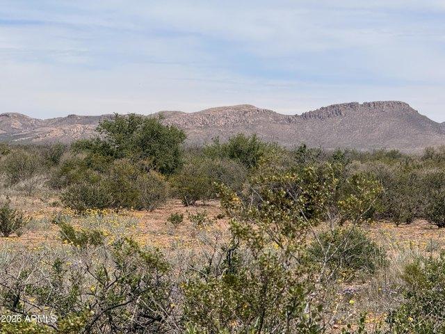 N Valladolid Dr Lot 3940, Douglas, AZ 85607