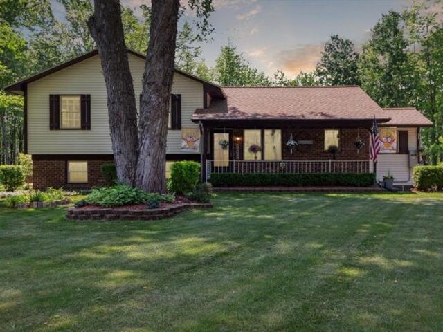 N Walnut Ave, Bitely, Home For Sale