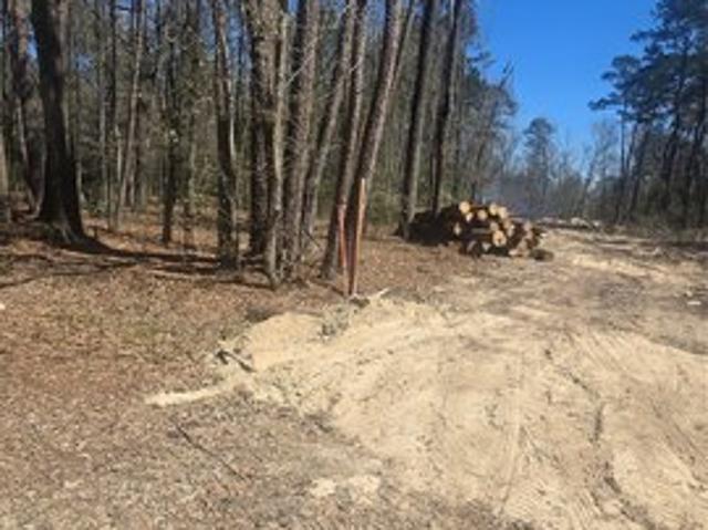 N Westwood Dr, Conroe, TX 77302