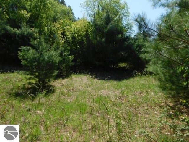 N Wheeler Lake Rd, Kalkaska, MI 49646