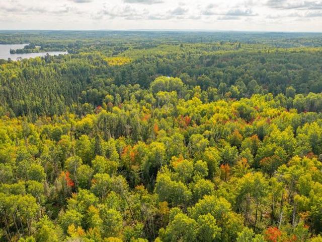 N White Iron Rd, Ely, MN 55731