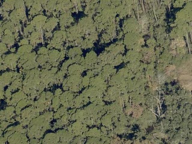 N 14th St Lot 7, Santa Rosa Beach, FL 32459