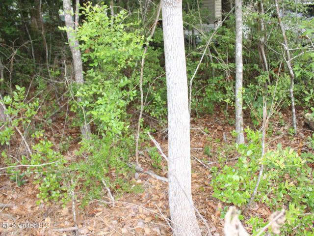 N 15th Street, Ocean Springs, MS 39564