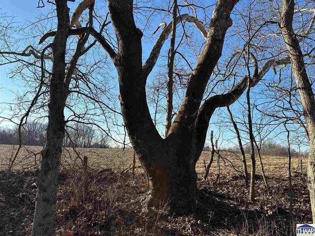 N 100 W Lot 1, Perrysville, IN 47974