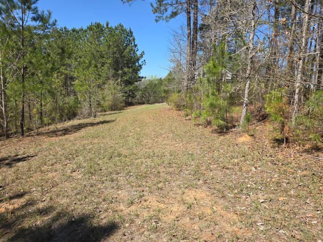 N 27b Saluda Court