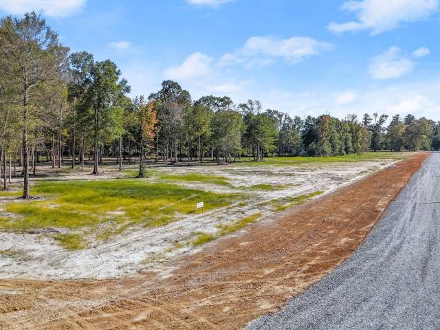 N 2 d 4 Little Azalea Dr, Zachary, LA 70791 | MLS #BR2025000