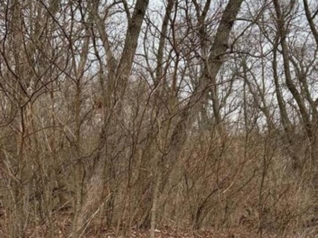 N 381 W, Lake Village, IN 46349