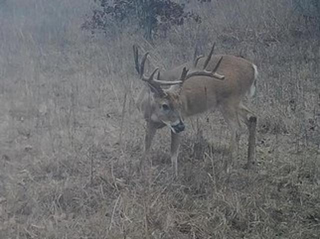 N 3875 Rd, Weleetka, OK 74839