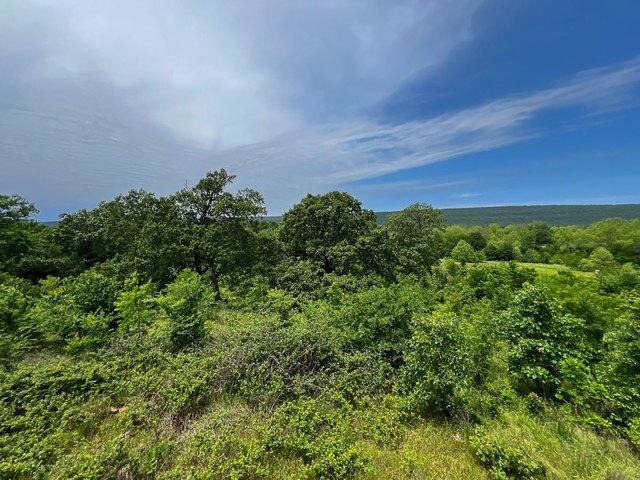 N 4220, No City, OK 74536