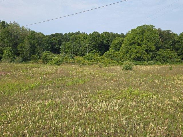 N 72nd Ave, Hart, MI 49420