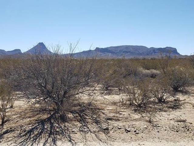 Nc 148 Romero Rd, Terlingua, TX 79852