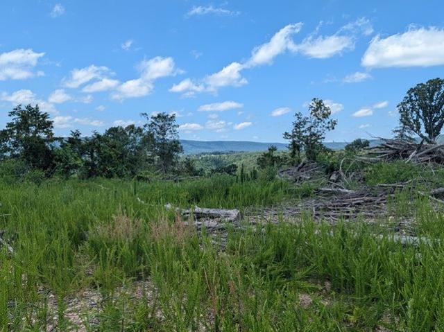 Nc 2900, Marble Falls, AR 72648