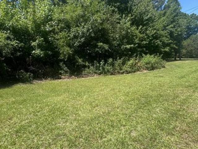 NC Highway 705, Robbins, NC 27325