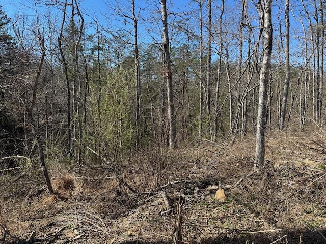 Na Vine Ridge Road
