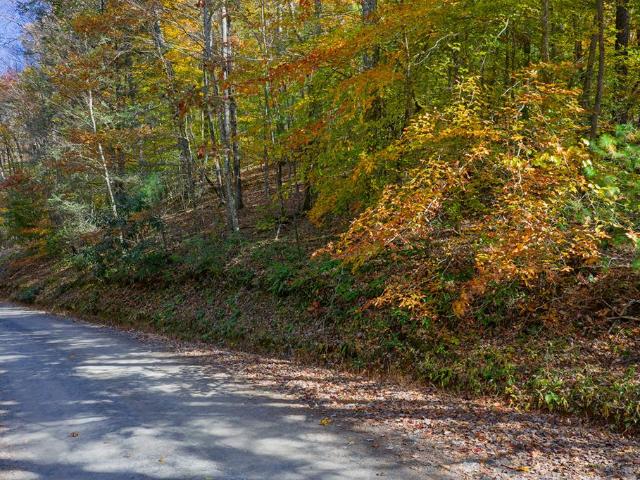 N/a Willard Mountain Rd, Ellijay, GA 30540 | MLS #420106