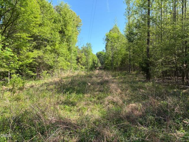 N/a Bethel South Fork Rd, Graham, NC 27253 | MLS #10160