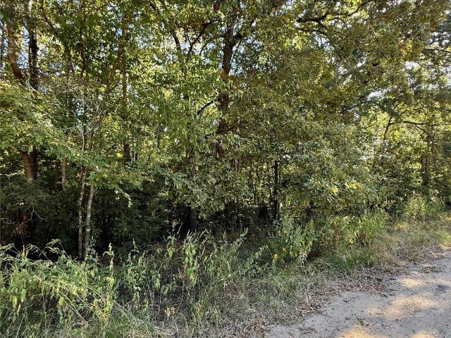 N/a Lot 86 Tomahawk Trail