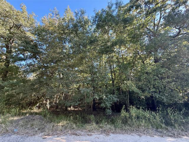 N/a lot 87 N/a Trail, Livingston, TX 77351 | MLS #21147 | Compass