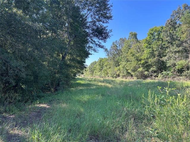 Na McGuire Rd, Liberty, TX 77575 | MLS #19473 | Compass