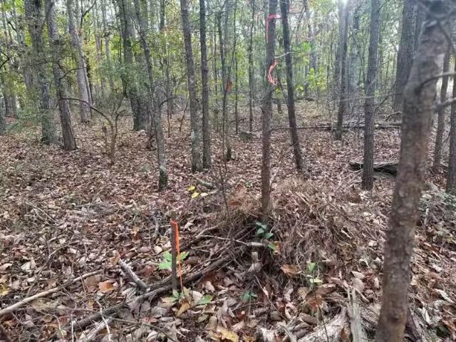 N/A Mulberry Circle, Jasper, GA 30143 MLS 7481540