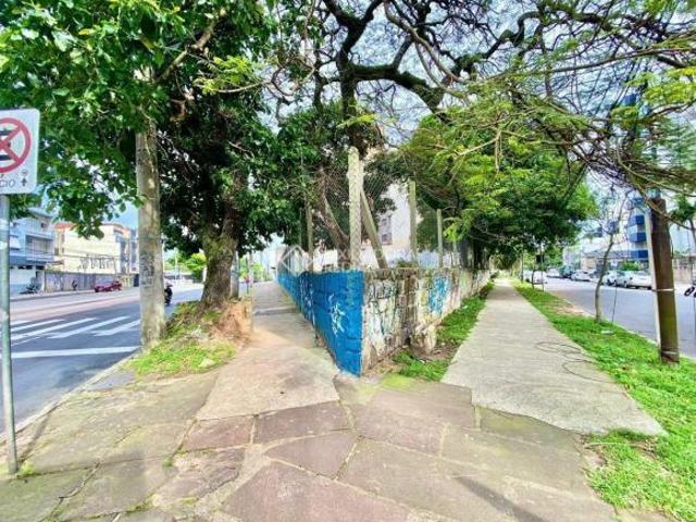 Na parte alta da avenida, sem chances de alagamento!