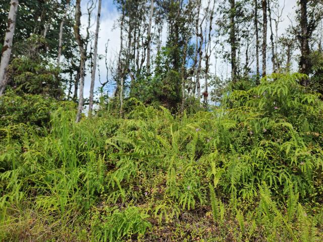 Nanawale Blvd, Pahoa, HI 96778 | MLS #720980 | Compass