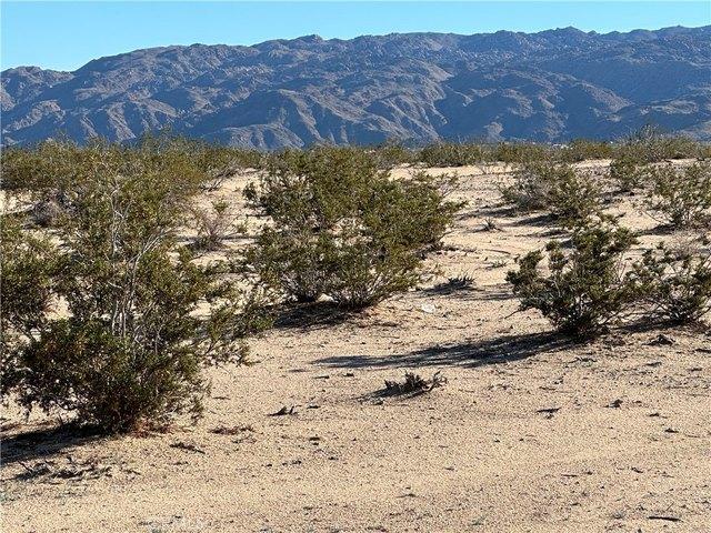 Nandia, Twentynine Palms, CA 92277