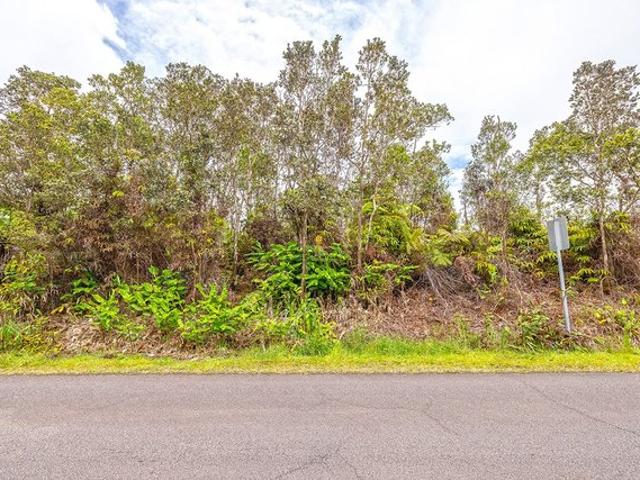 Nahelenani St, Volcano, HI 96785