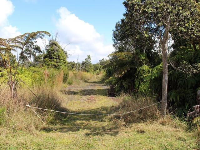 Nahelenani St, Volcano, HI 96785