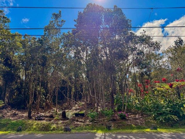 Nahelenani St, Volcano, HI 96785