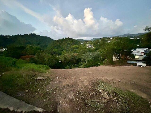 Naranjito, Plot For Sale