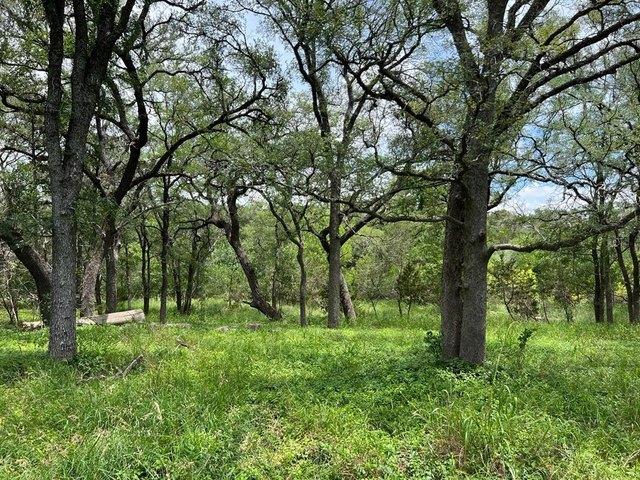 Narrows Rd Lot 19PT, Blanco, TX 78606