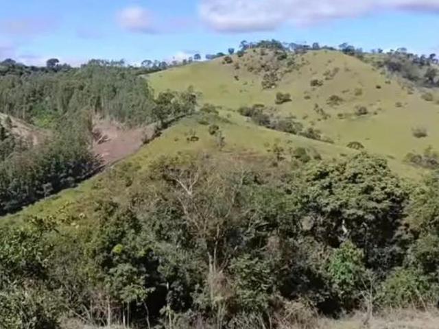 Nascente da mata