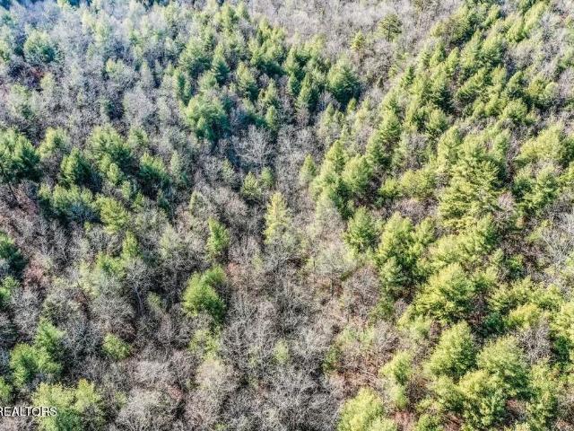Nashville Ave, Deer Lodge, TN 37726