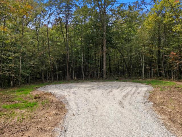 Nashville Ave, Deer Lodge, TN 37726