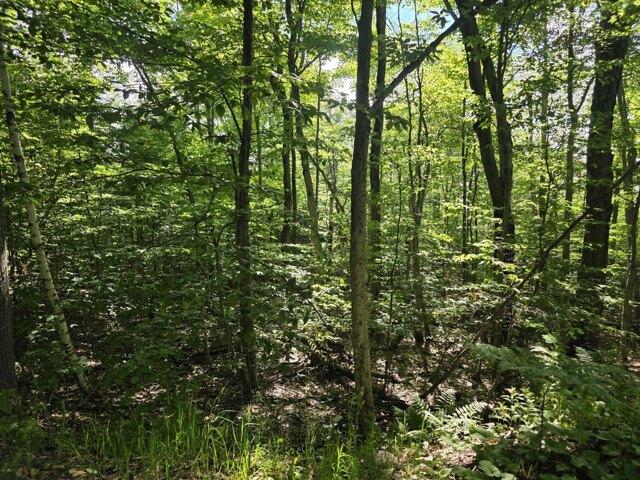 Nashville Rd, Saranac, Plot For Sale