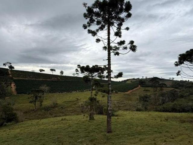 Natureza, paz e uma vista encantadora a poucos minutos de Ouro Fino