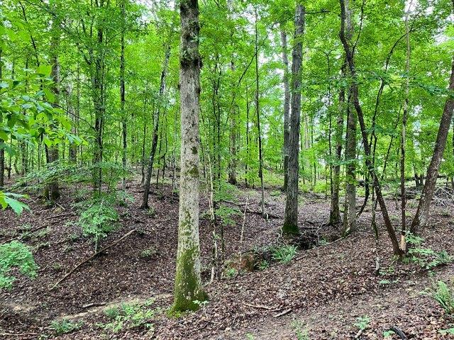 Nation Rd, Abbeville, SC 29620