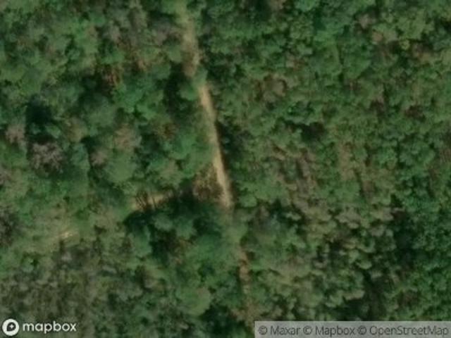 National Forest Rd # 704