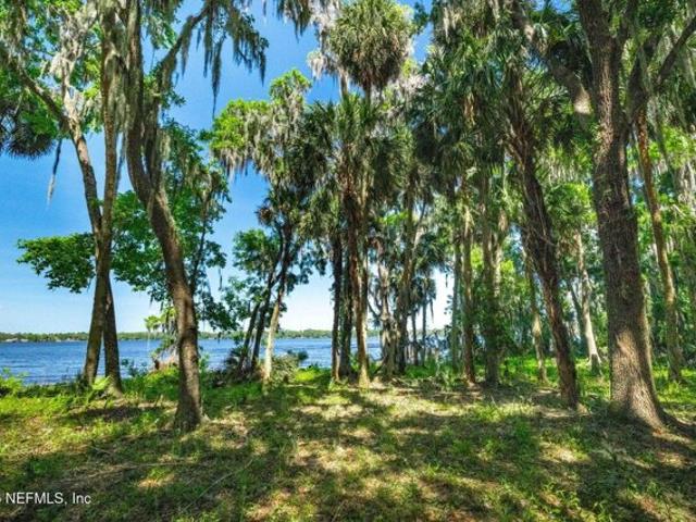 National Forest Rd # G, Palatka, Plot For Sale