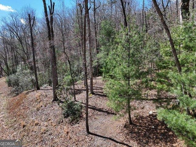 Native Trl Lot 15, Blue Ridge, GA 30513