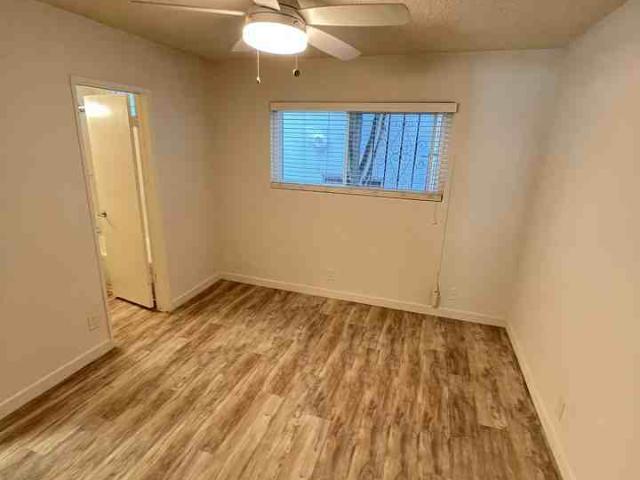 Navy Street Apartments Studio Apartment for Rent at 25 Navy St, Los Angeles, CA 90291 Venice