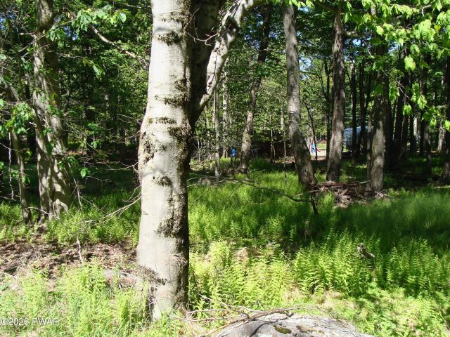 Navaho Path