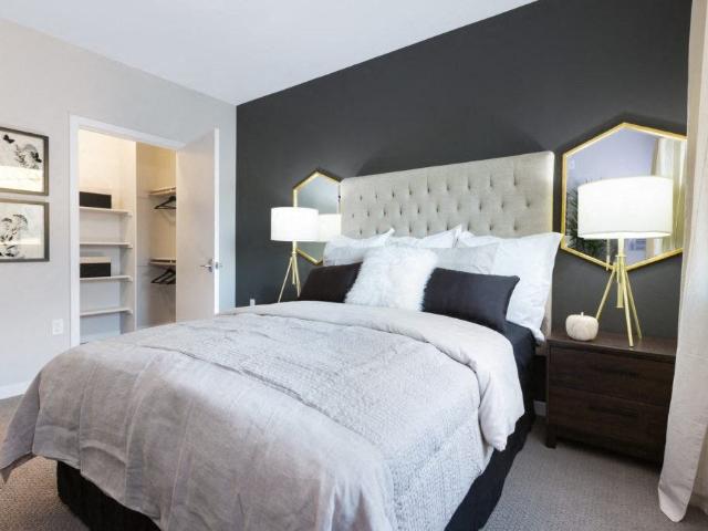 Naya 1 Bedroom Apartment for Rent at 1095 W El Camino Real, Sunnyvale, CA 94087 Sunnyvale West