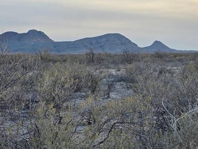 Nc434 Sons of Liberty Rd, Terlingua, TX 79852