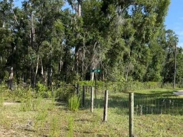 NE 489th St, Old Town, FL 32680