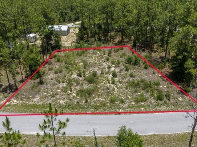 NE 4th Ln, Williston, FL 32696