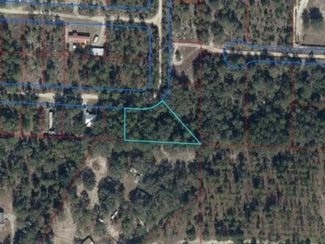 NE 50th Pl, Williston, FL 32696