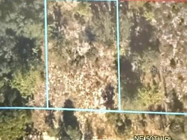 NE 50th Pl, Williston, FL 32696